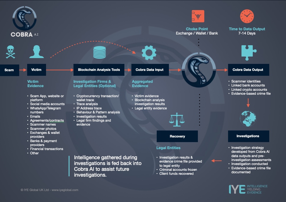 Cobra AI Cryptocurrency Investigations | IYE Global